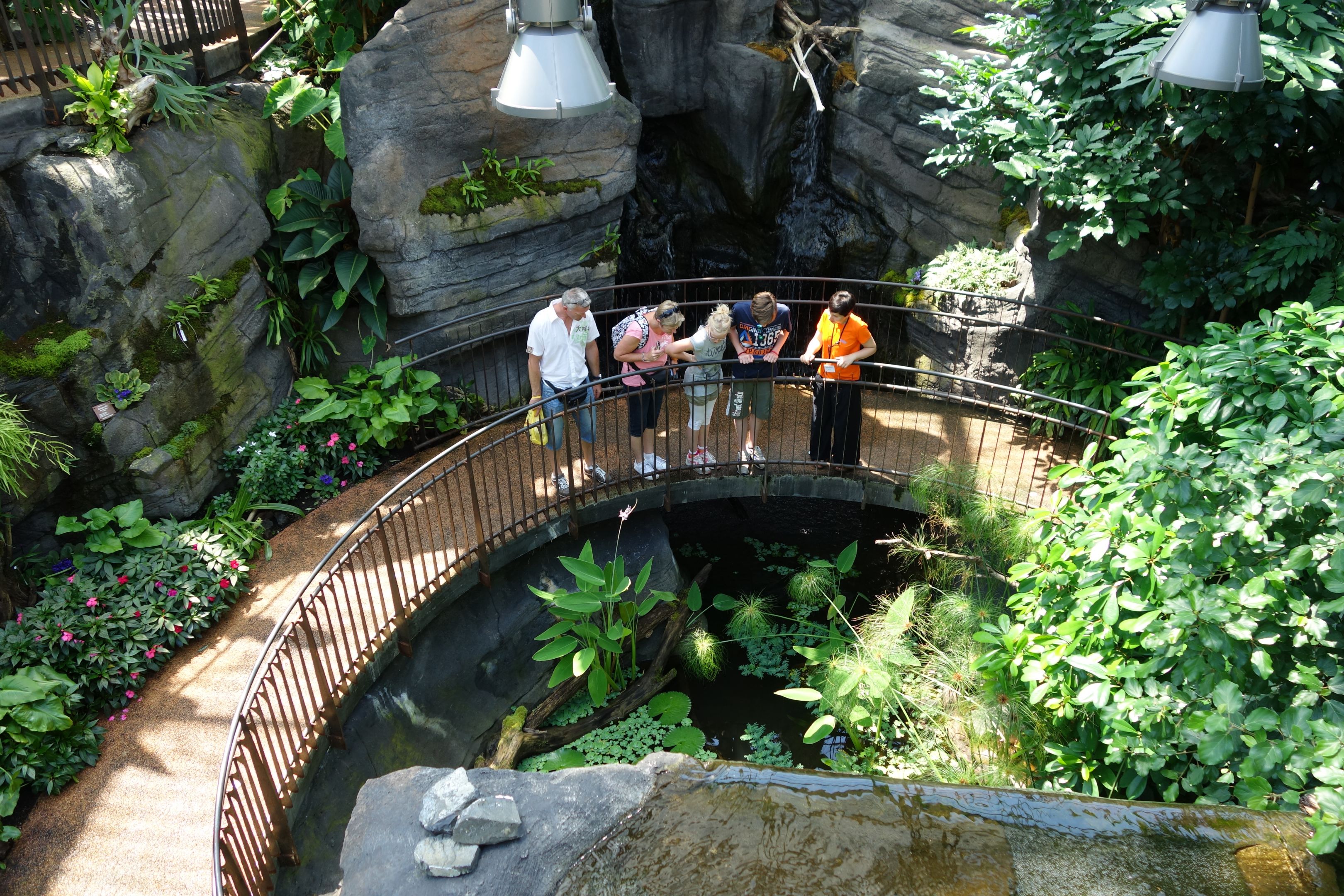 Tropical Rainforest, Italy - Harris Bugg