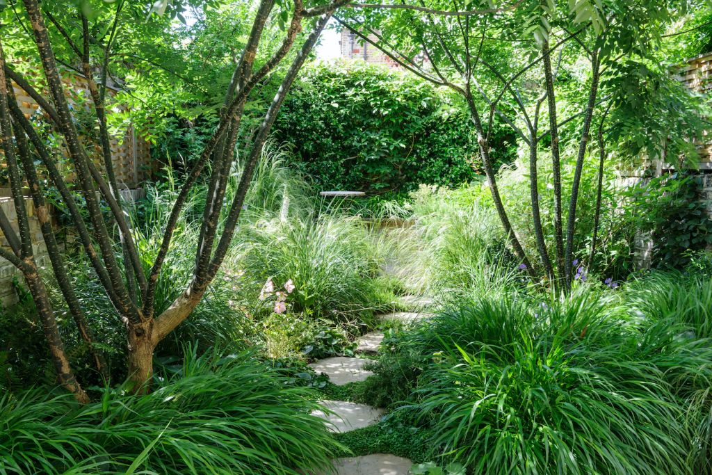 Urban meadow garden, Islington, London - Harris Bugg