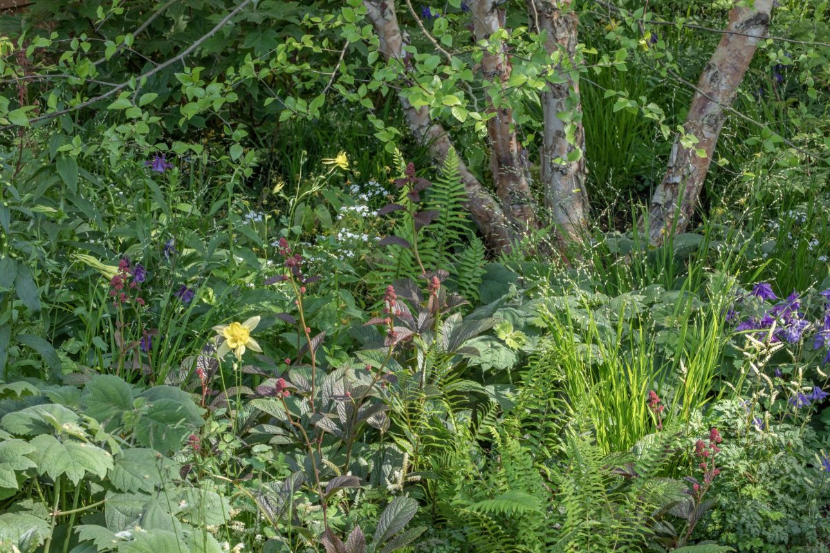 Horatio's Garden Chelsea 2023 designed by Charlotte Harris and Hugo ...