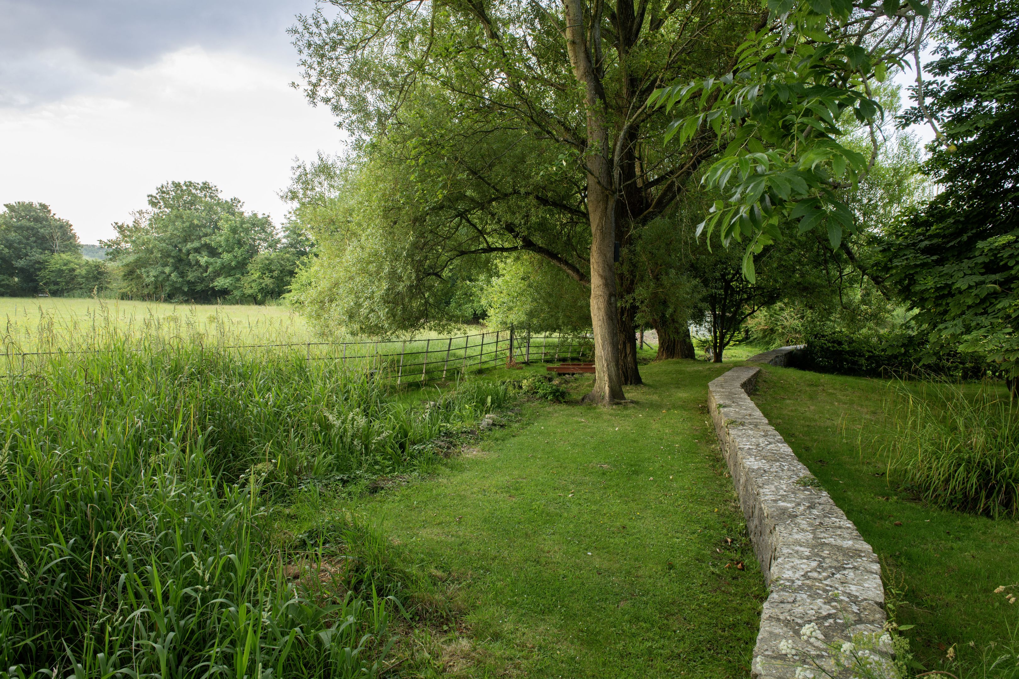Dorset meadow garden - Harris Bugg