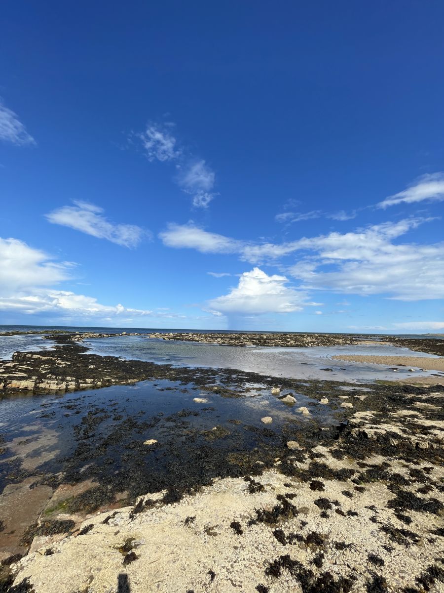 Five Walls Fife [3] © Harris Bugg Studio - Harris Bugg