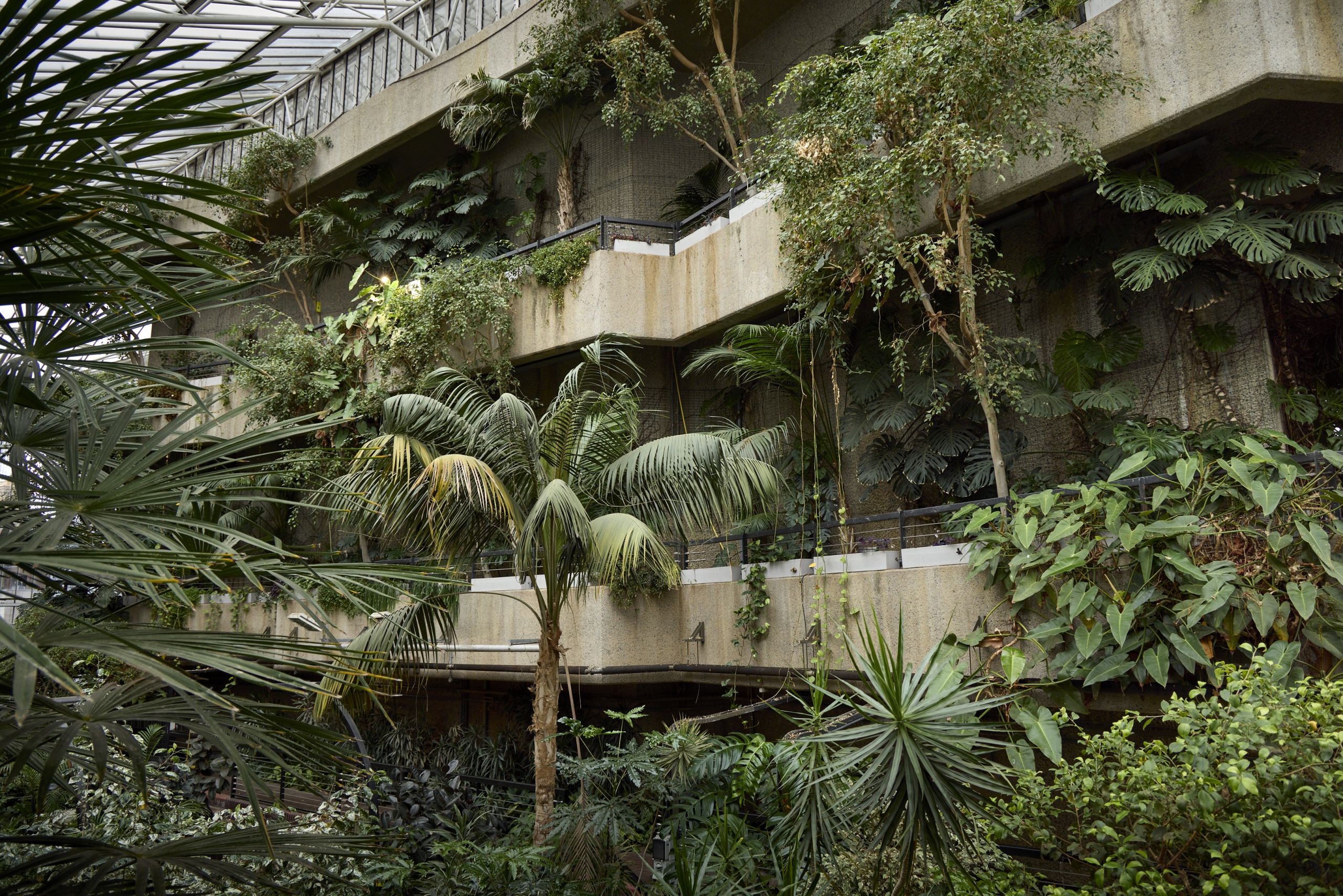 Barbican Conservatory - Harris Bugg