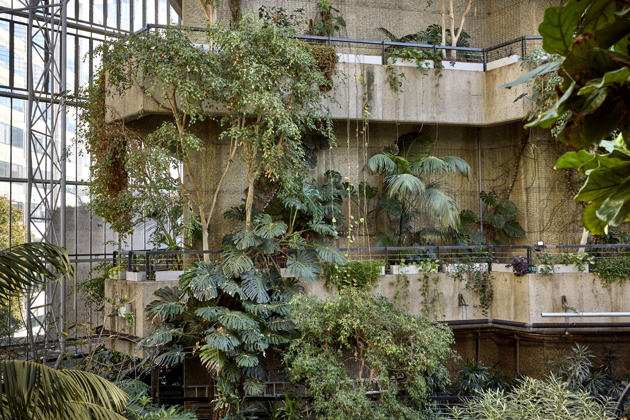 Barbican Conservatory - Harris Bugg